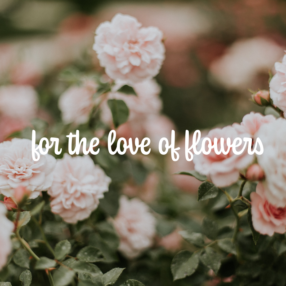 Flower Love Quotes Tumblr